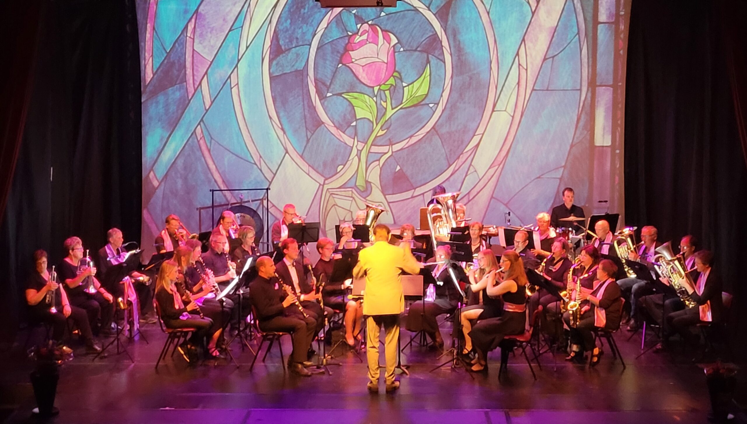 Apollo & Friends @ the Movies: filmavond met Apollo